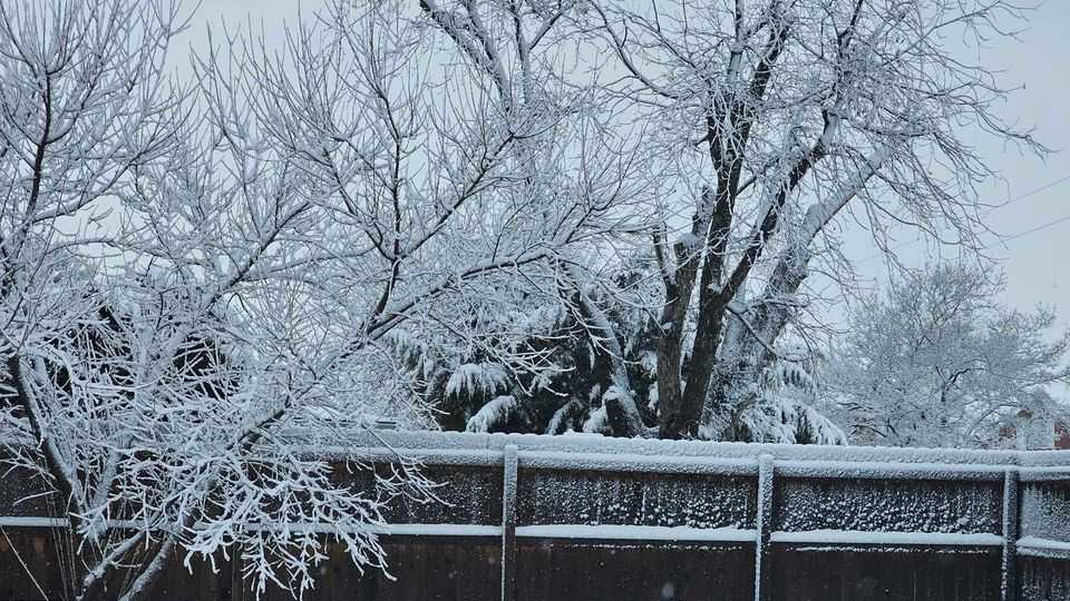 GALLERY: Snowfall in Panhandle, northern Oklahoma