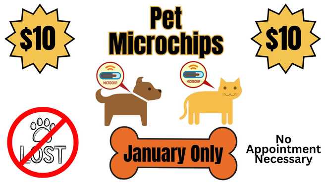 Collier County Domestic Animal Services offering