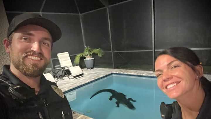 Alligator takes a swim in Florida family’s pool