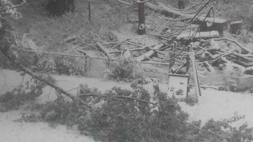 Photos: First snow of the season