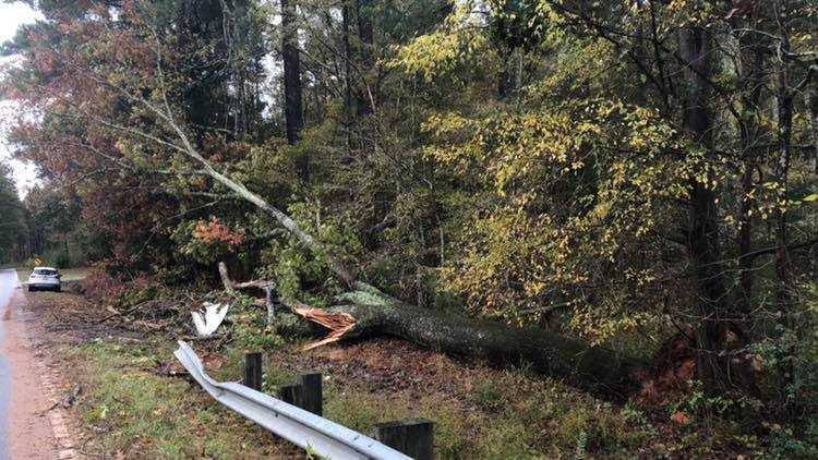 Man dies when tractor-trailer hits tree lying in road, then guardrail ...