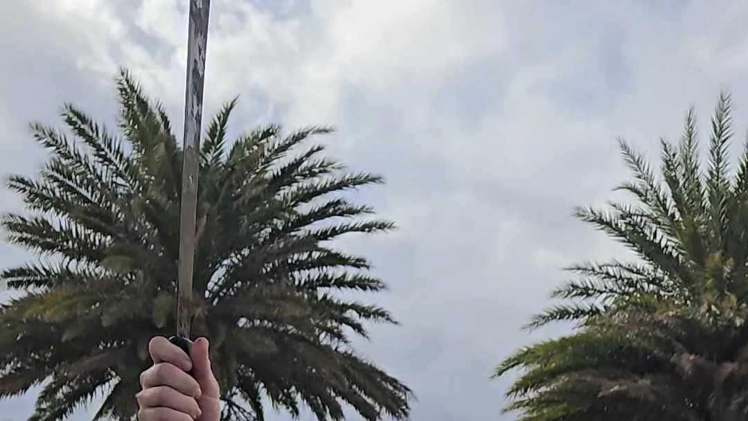 Teen Trump supporter charged with threatening Harris backers at polling place with machete