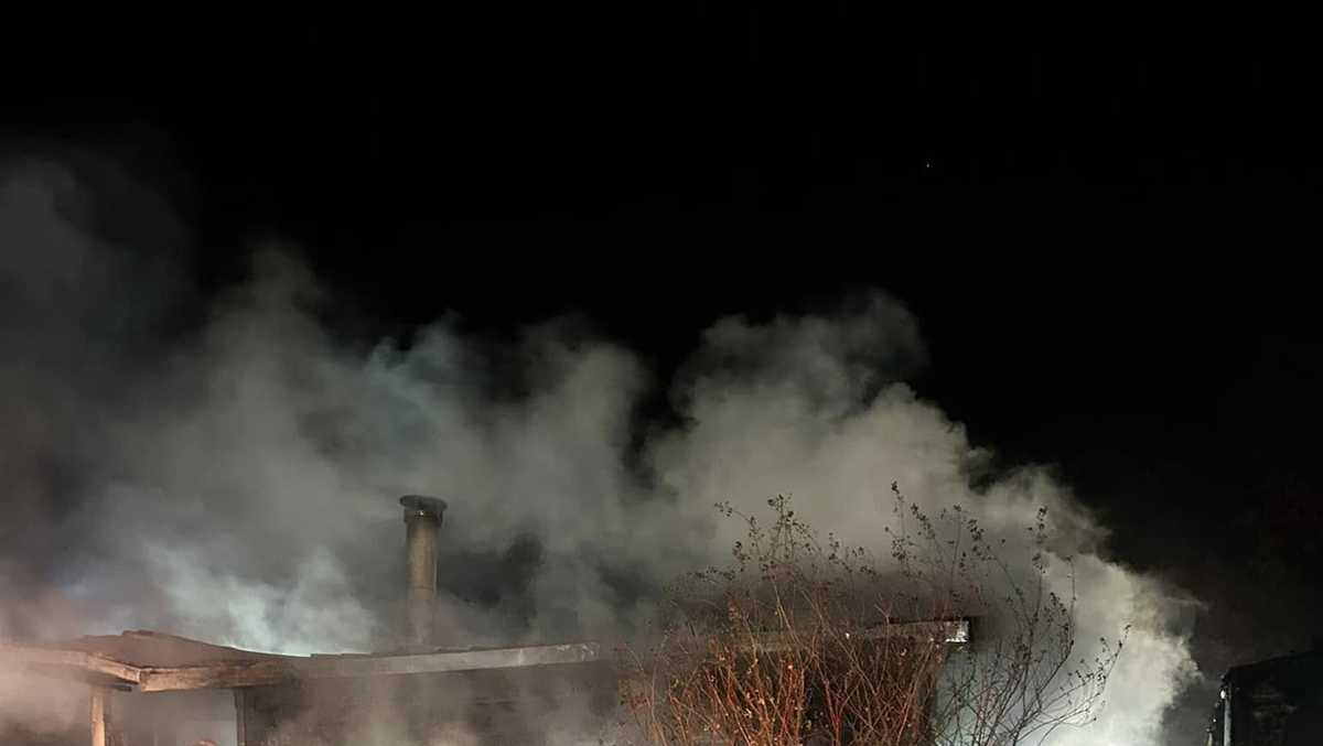 Three animals die in house fire in Placer County