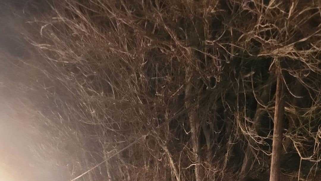 Person pulled from the wreckage following crash in Shaler