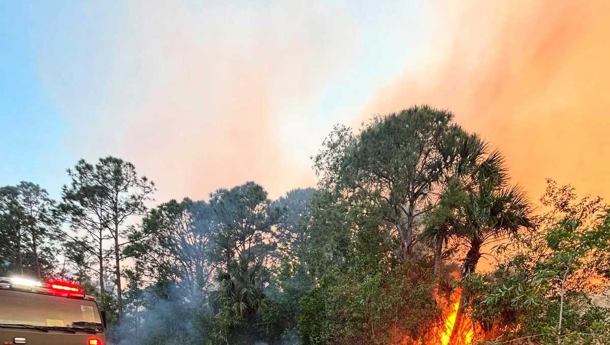 Crews monitoring site of Martin County brush fire