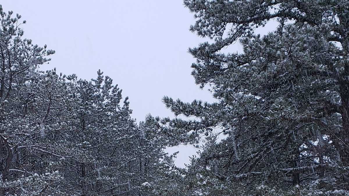 Town-by-town: Check out latest snowfall totals