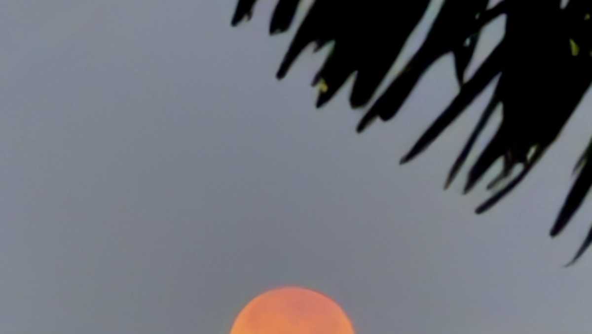Photos: Total lunar eclipse captured across the Gulf Coast Tuesday morning