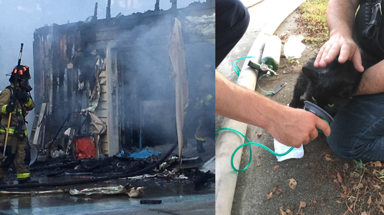 5 displaced, cat rescued after fire tears through garage of Brevard home