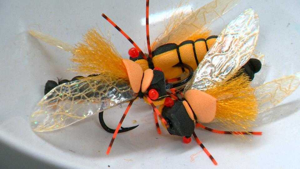 Cicada season helping anglers reel in big fish