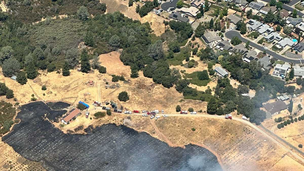 Cal Fire responds to grass fire in ﻿﻿﻿Kingsville