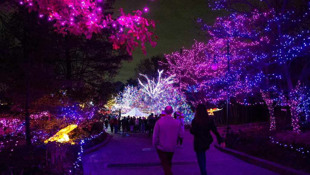 Walk among millions of colorful lights at Cincinnati Zoo's Festival of ...