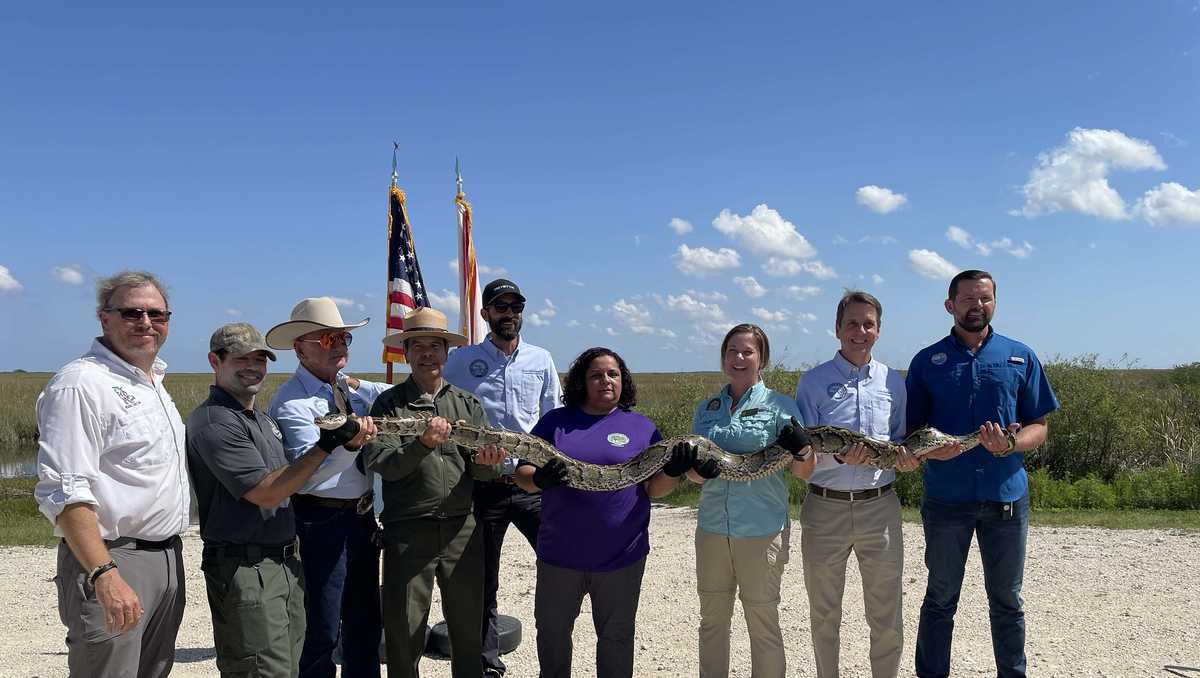 Florida Python Challenge kicks off with $25,000 in prizes