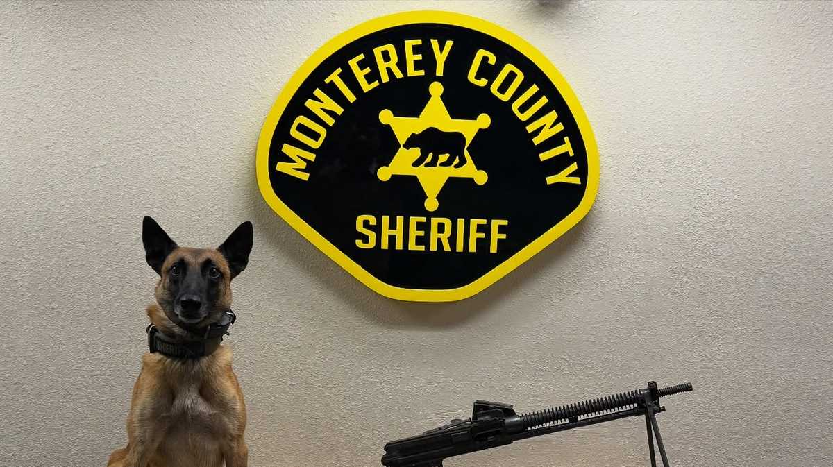 Machine gun that fires 500 rounds a minute seized in Monterey County stop