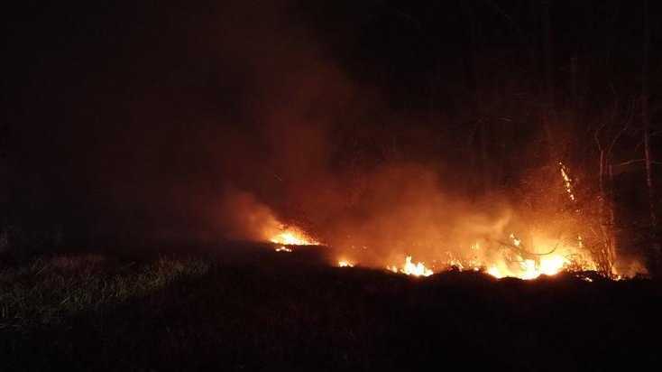 Fire chief warns of burning in dry, windy conditions after woods fire ...