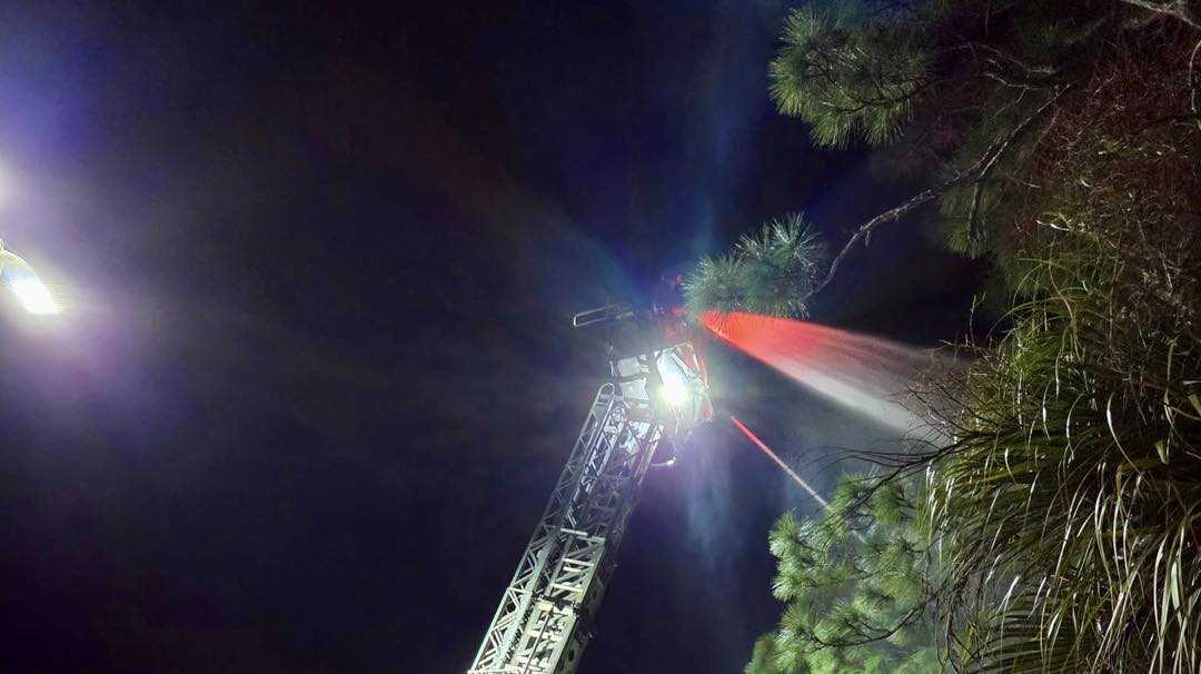 Brush fire contained near Costco at Cypress Lake Drive and US 41 in ...
