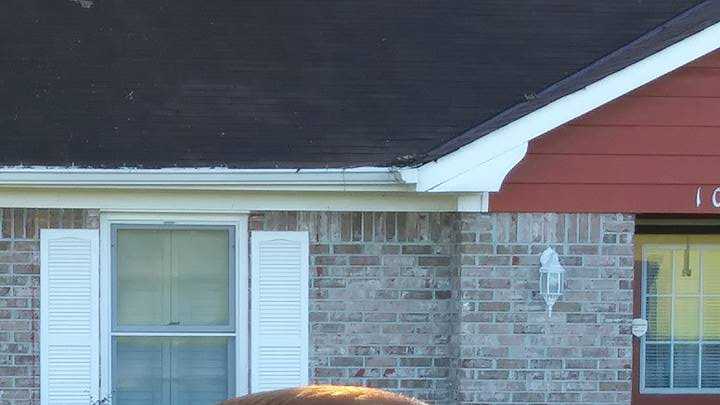 PHOTOS: Holy hog! Massive pig in Phenix City, Alabama