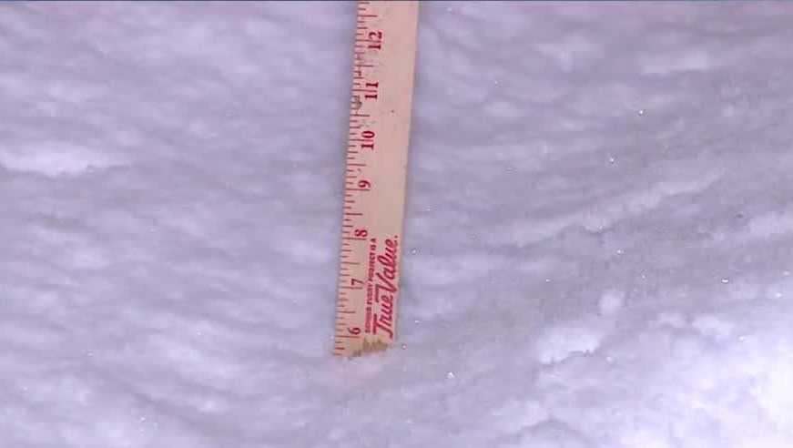 Highest snow totals, wind gusts across Mass. for April 4 nor'easter