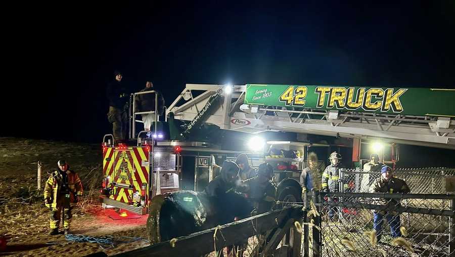 Crews rescue cow trapped in manure pit in freezing temperatures in ...