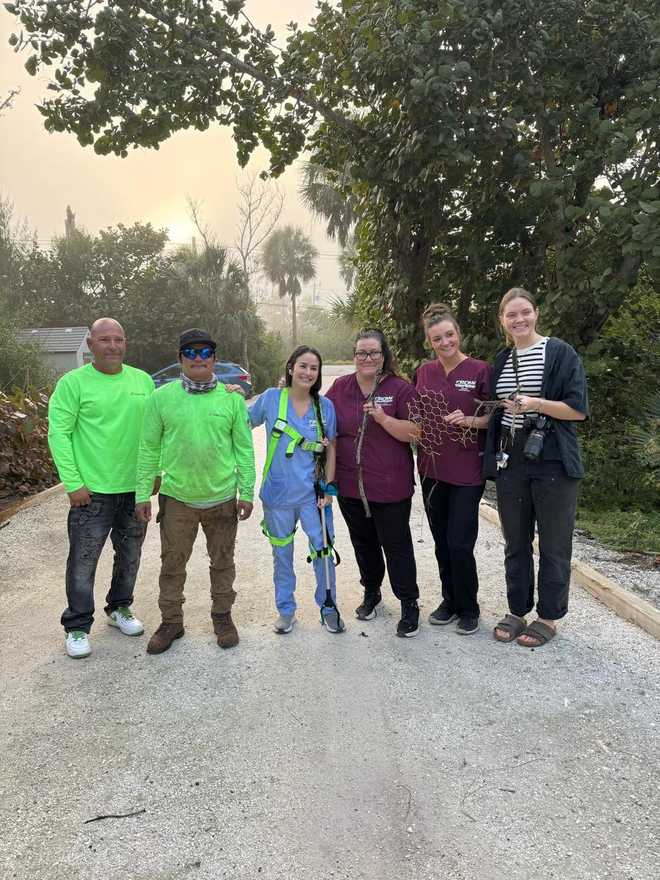 Members of CROW help clean out dangerous litter from eagle's nest on ...