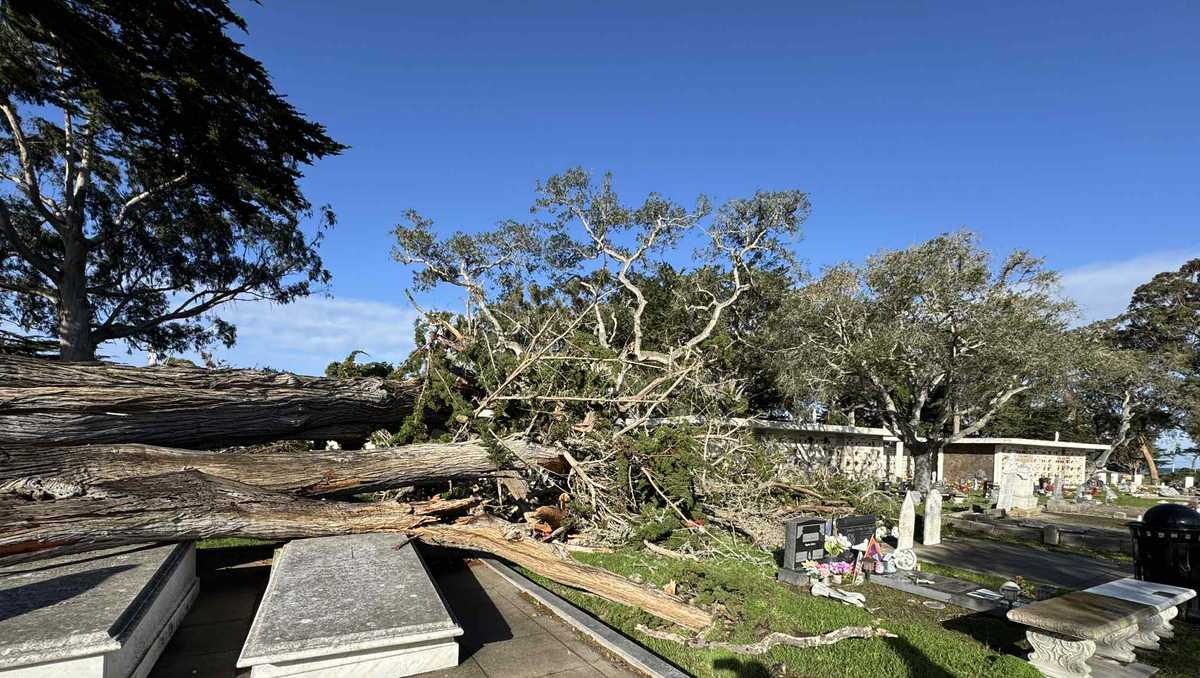 Damage reports, power outages and road closures on Christmas