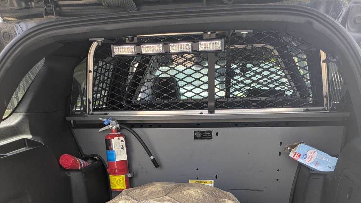 Tortoise escape gives Hinesville officers a workout
