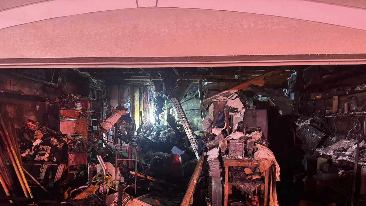Firefighters rescue person and dogs from Florida house fire