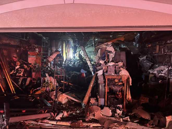 Firefighters rescue person and dogs from Florida house fire