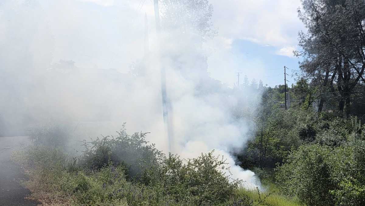 Squirrel damages PG&E pole, causing widespread outages, fire in Auburn