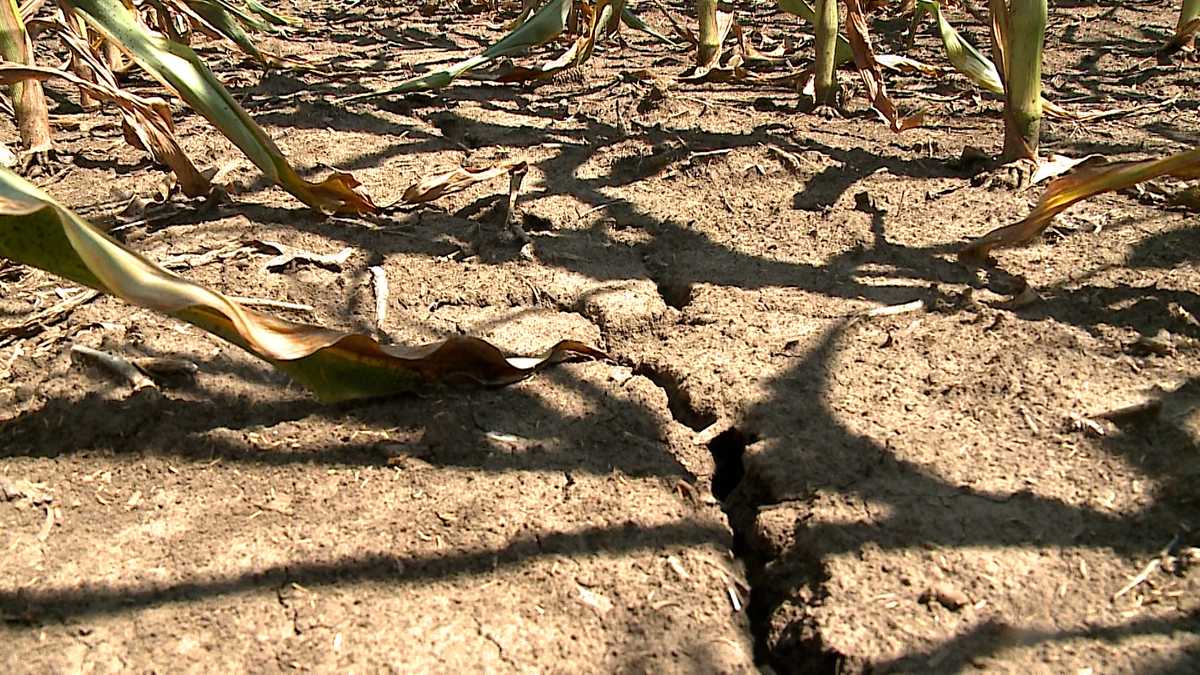 Hot weather drives some areas deeper into drought