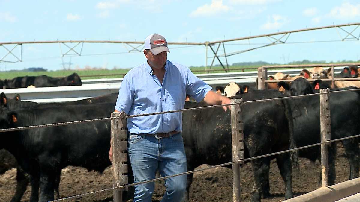 Nebraska beef producers battle processing bottleneck