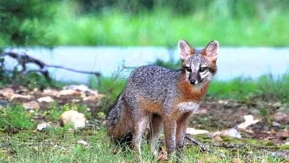 Summer Pics: August Views in the Piedmont Triad to the Mountains