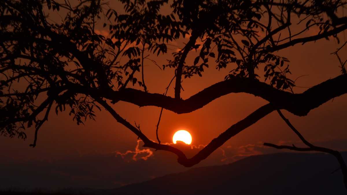 Summer Pics: August Views in the Piedmont Triad to the Mountains
