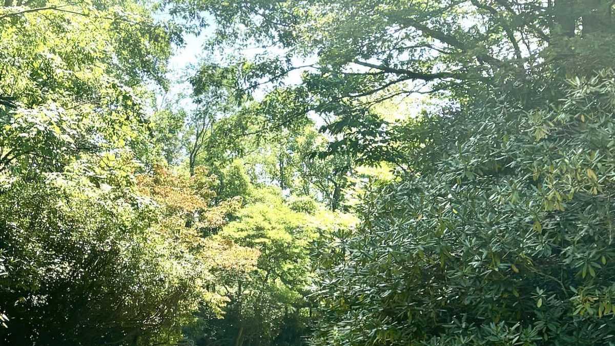 Summer Pics: August Views in the Piedmont Triad to the Mountains