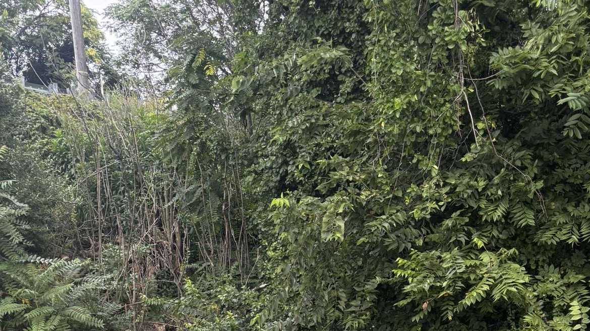 Crews cut doors off wrecked car to free trapped person after crashing ...