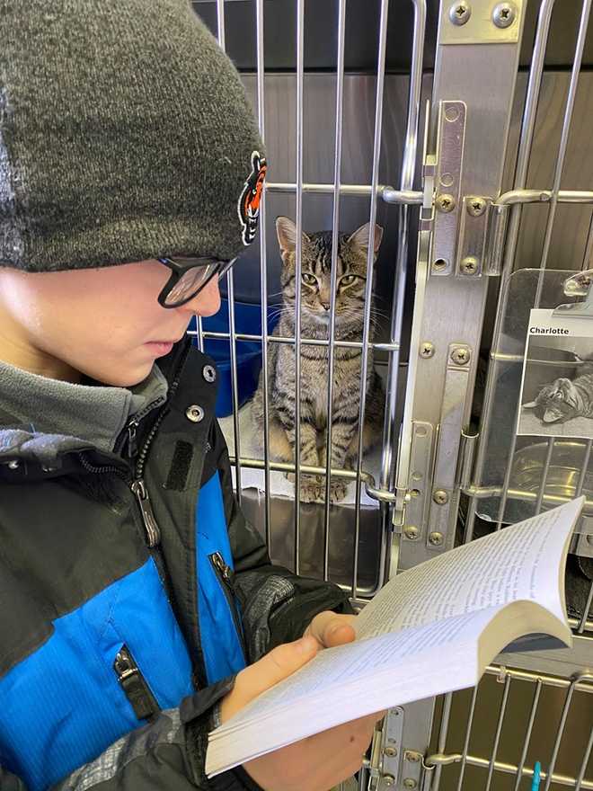 These Boone kids reading to rescue kittens will warm your heart
