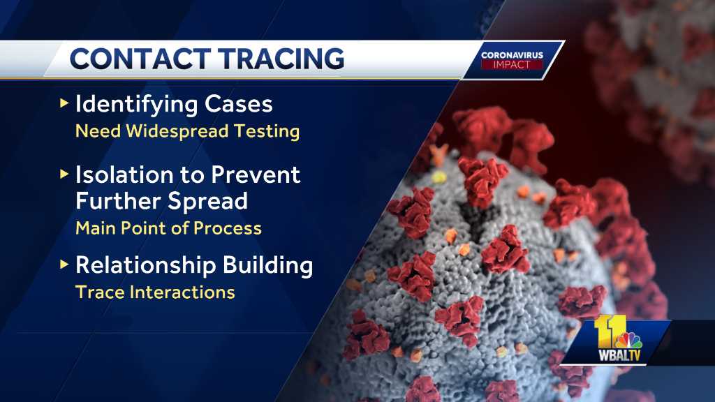 What exactly is contact tracing? Hopkins doctors explain
