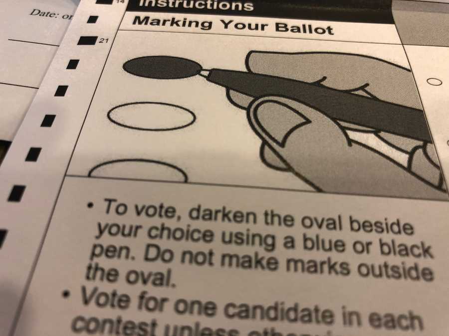 Step-by-Step instructions on how to vote absentee in South Carolina