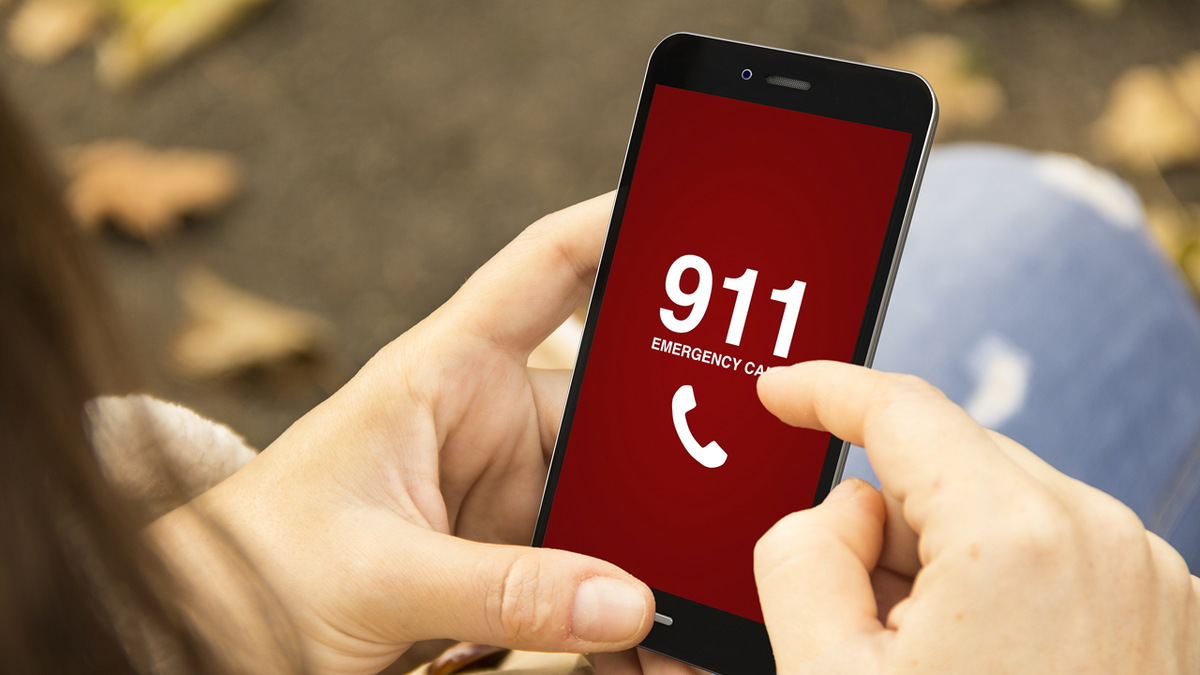 North Carolina: Students charged after 911 calls from school