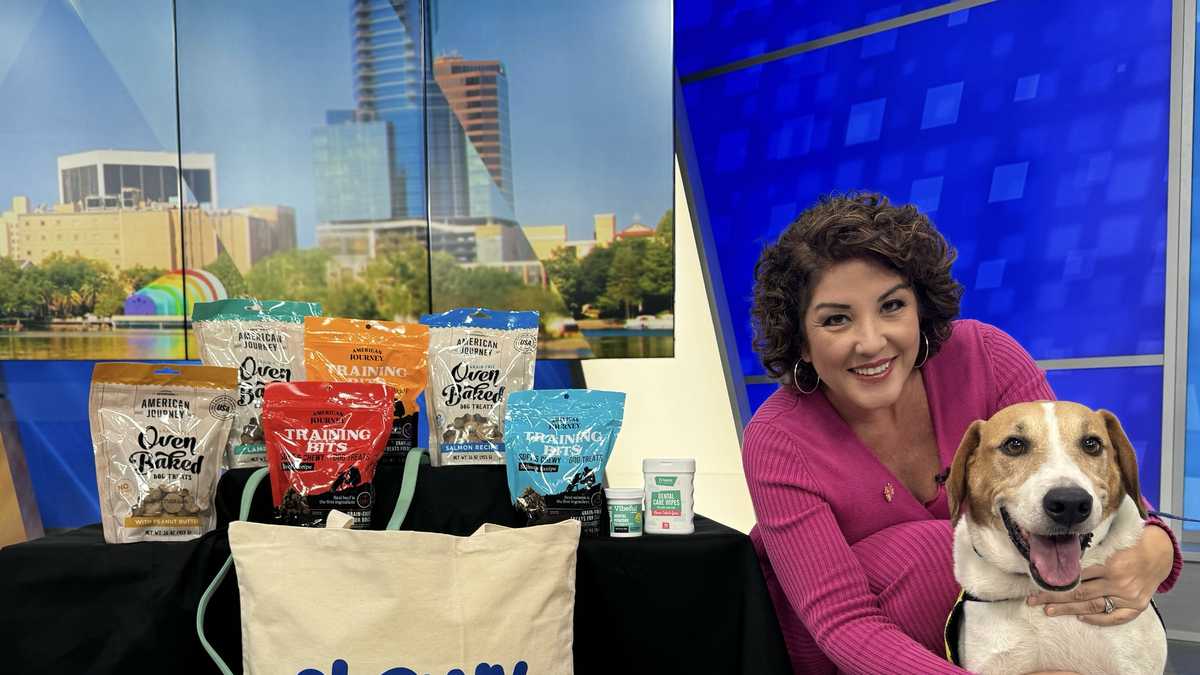 WESH 2 the Rescue: Cappuccino is ready to find his forever home