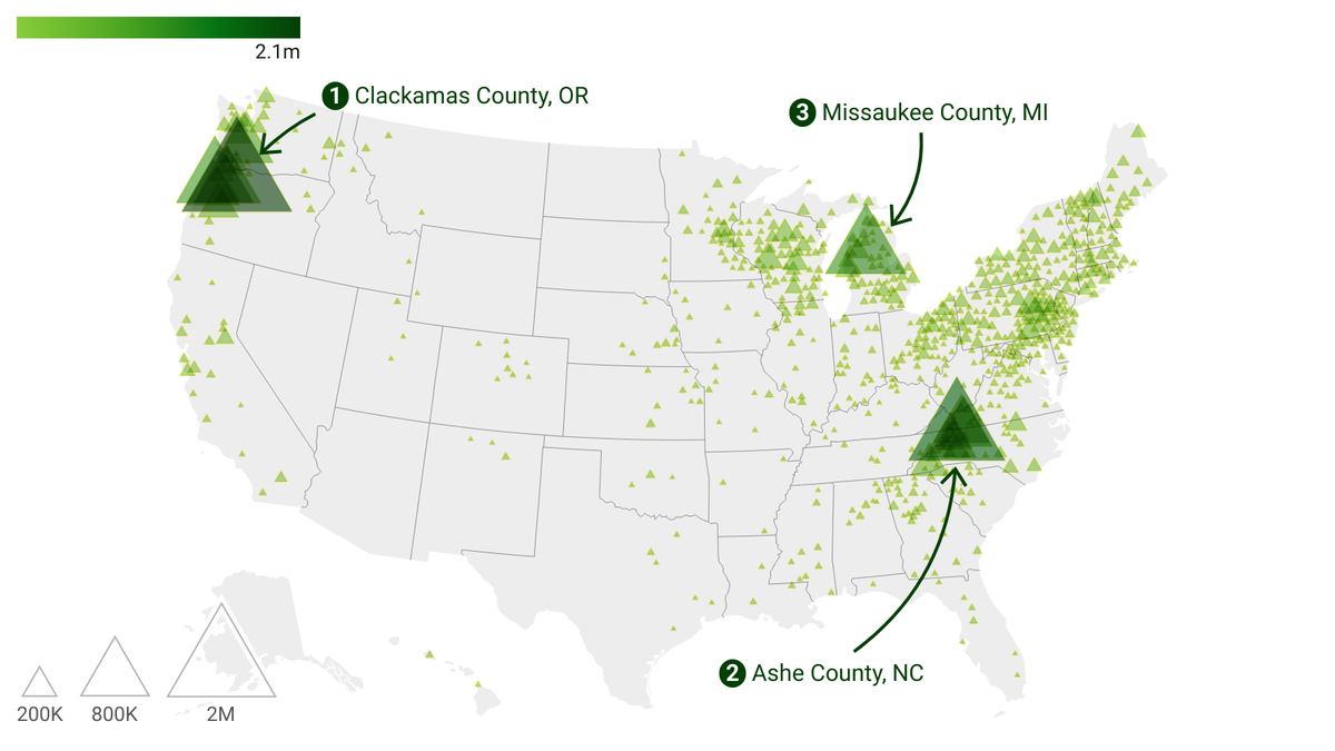 Mapped: Where US Christmas trees come from