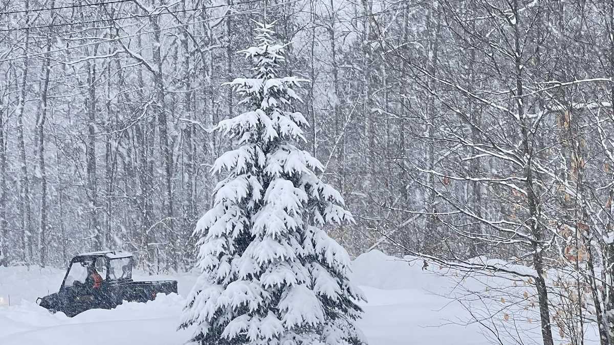 Gallery: Images from Maine's heavy snowfall across state