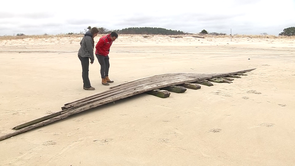 North Shore shipwreck exposes impact of beach erosion
