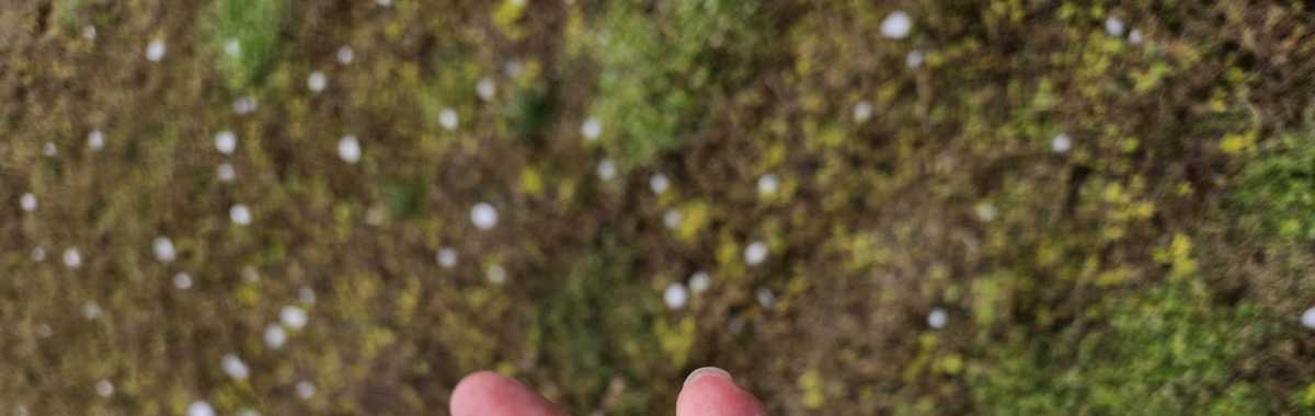 Gallery: Viewers share pictures of large hail that hit Ada during March ...