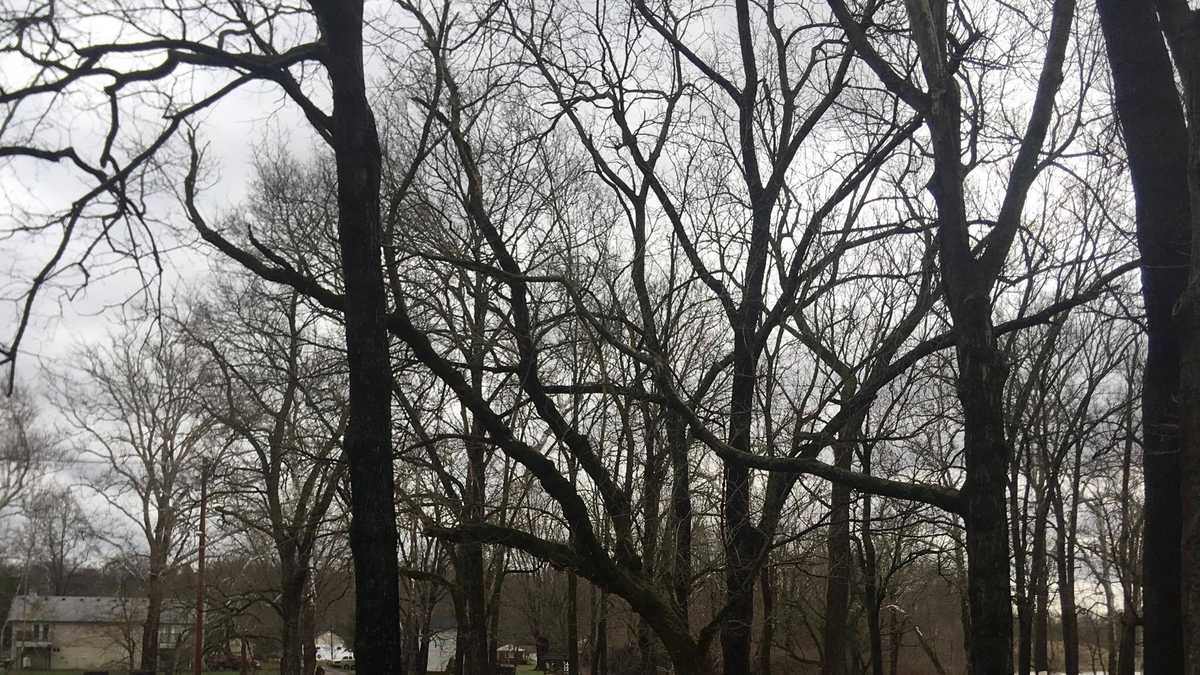 PHOTOS: Tornadoes, severe storms strike Tri-State