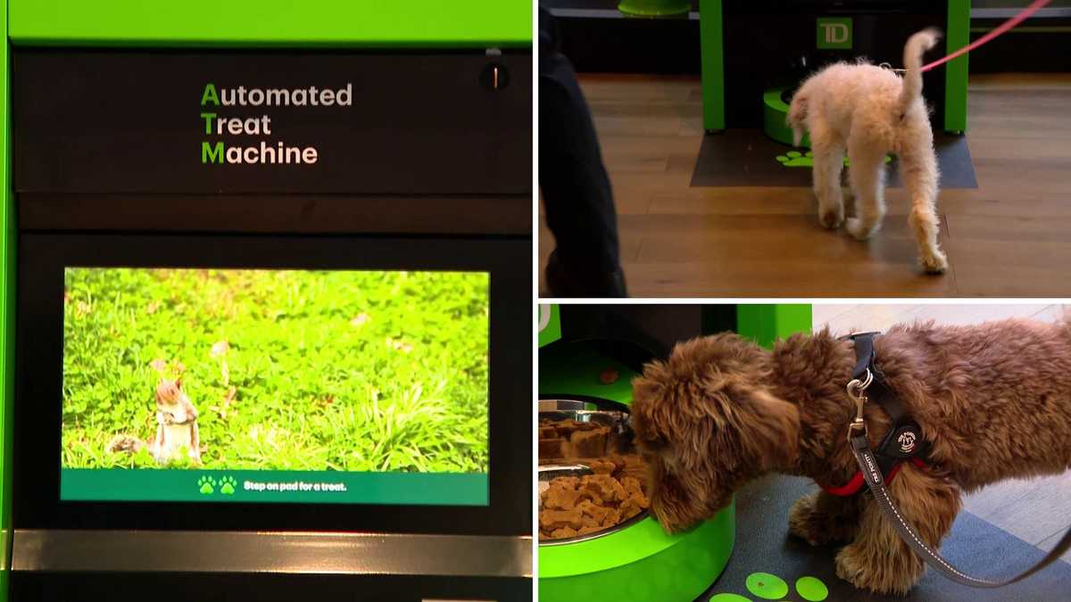 Making a de-paws-it: Mass. opens first ATM for dogs