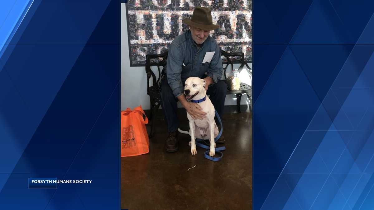 WXII 12 News Pet of the Week adopted