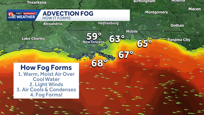 Weather Impact Day: Dense Fog Likely Tonight.