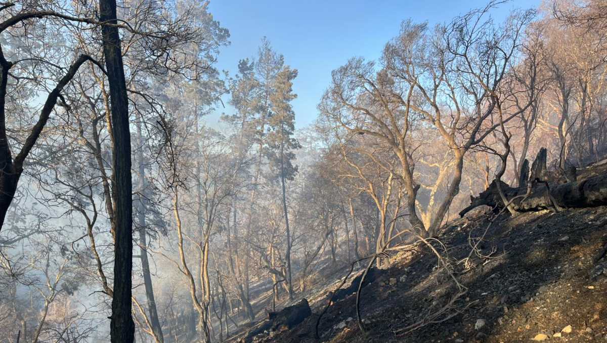 Fire sparks up in Monterey on Aguajito and Gentry road Sunday afternoon