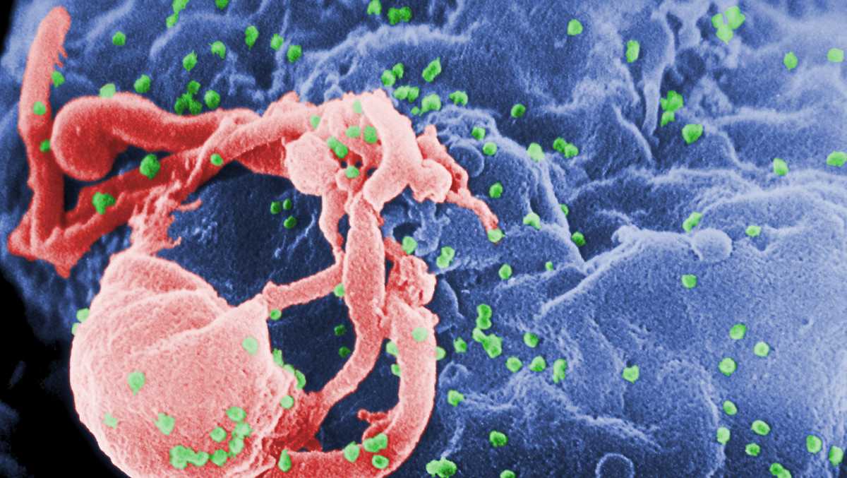 CDC: Person with undetectable HIV 'effectively no risk' of transmitting ...