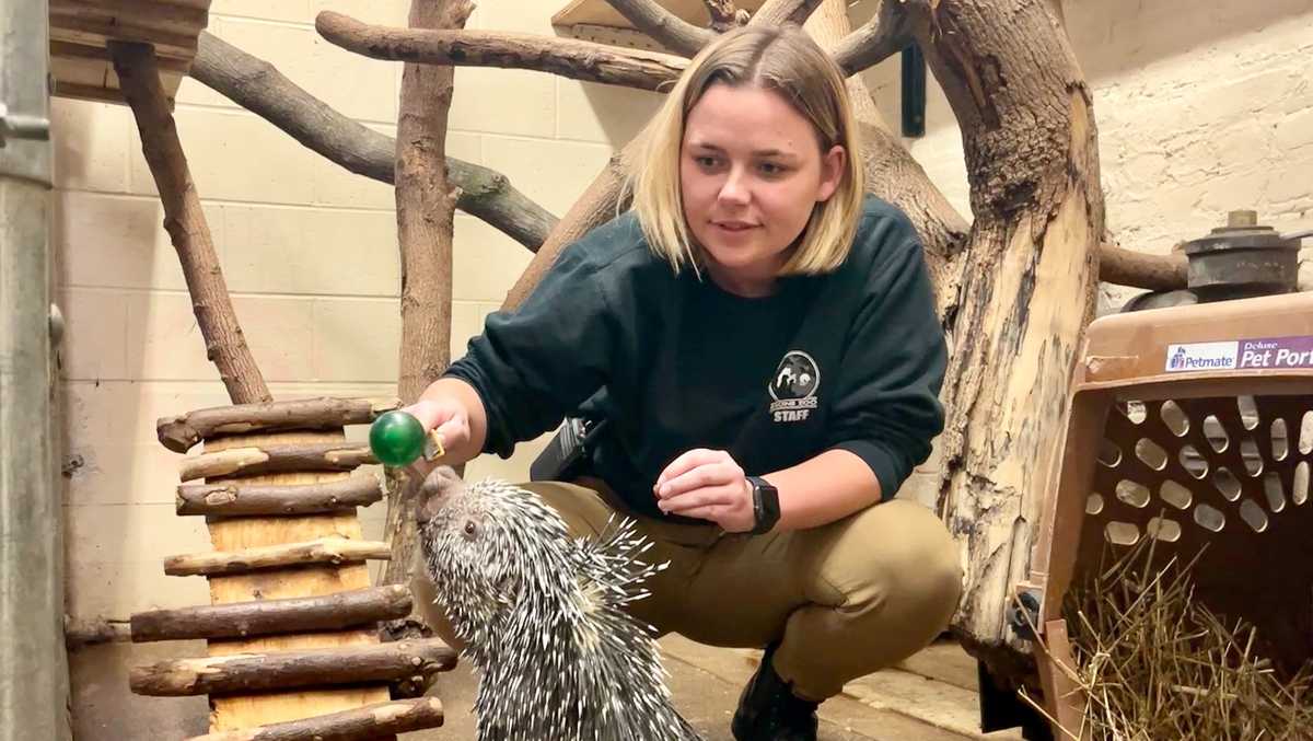 Racine Zoo is seeking donations to keep the 100-year-old zoo running